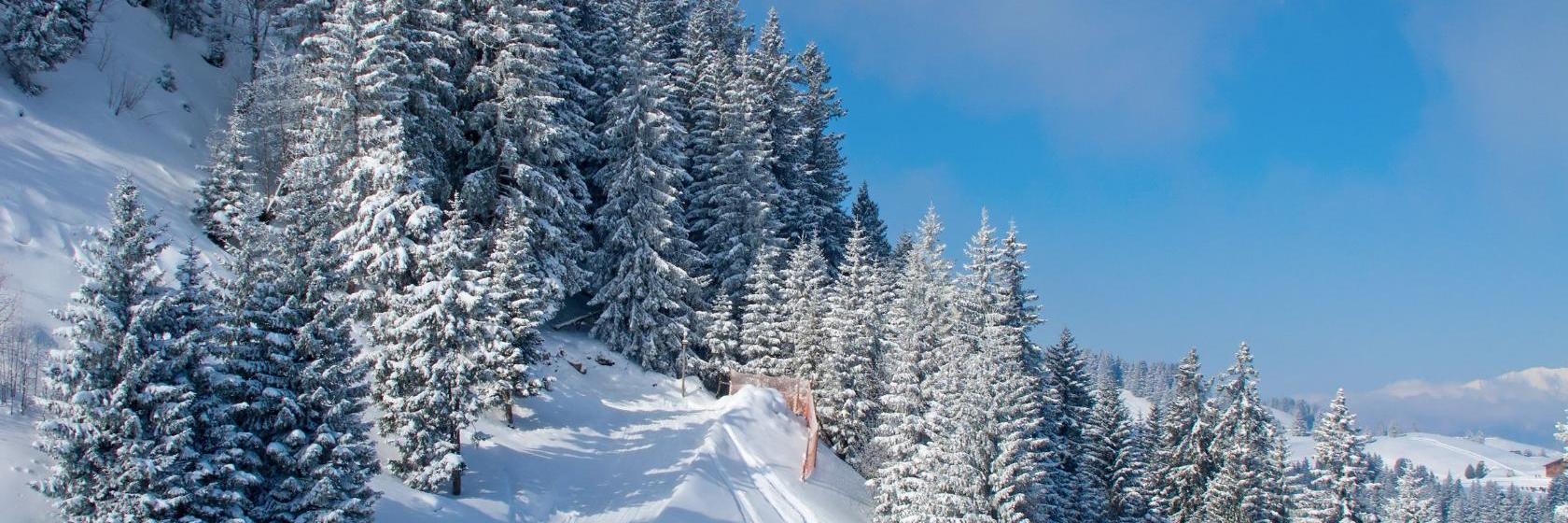 The best available hotels & places to stay near Oberterzen, Switzerland