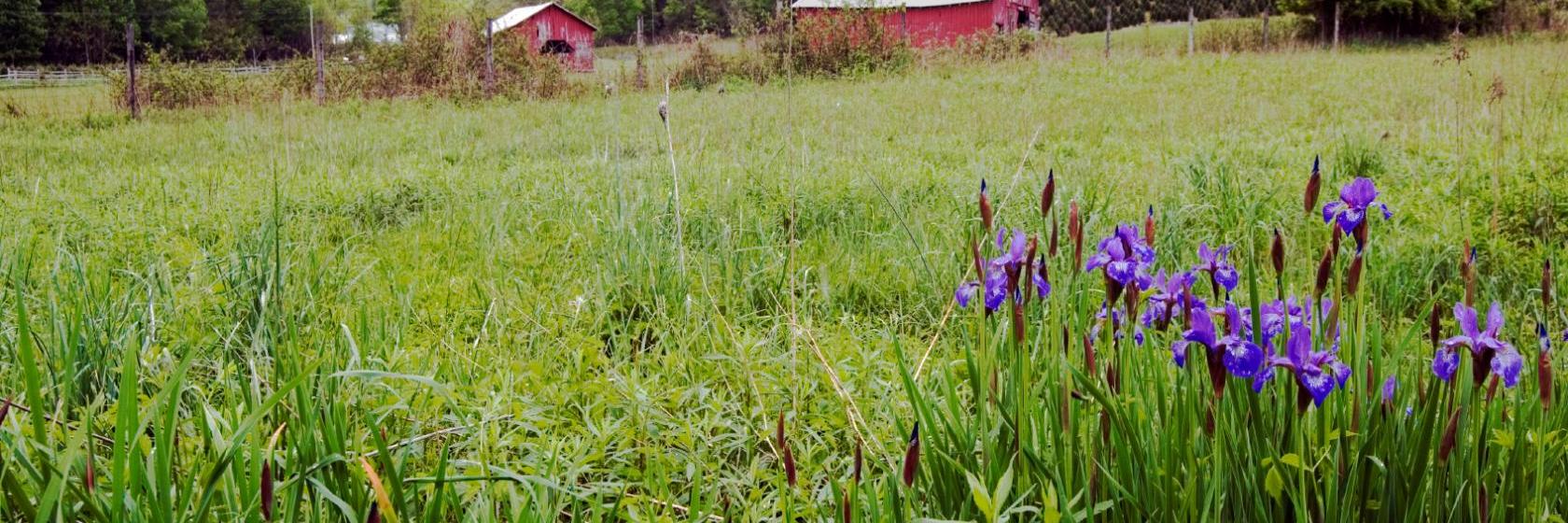 The best available hotels & places to stay near Catherine Furnace, VA