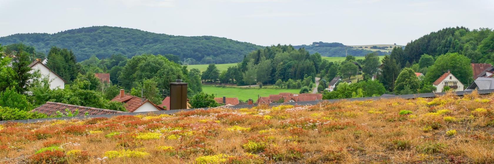 The best available hotels & places to stay near Kusel, Germany