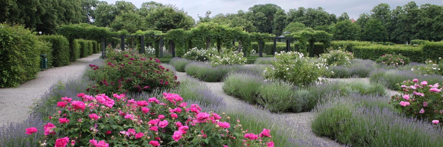 10 Best Hügelsheim Hotels, Germany (From $88)