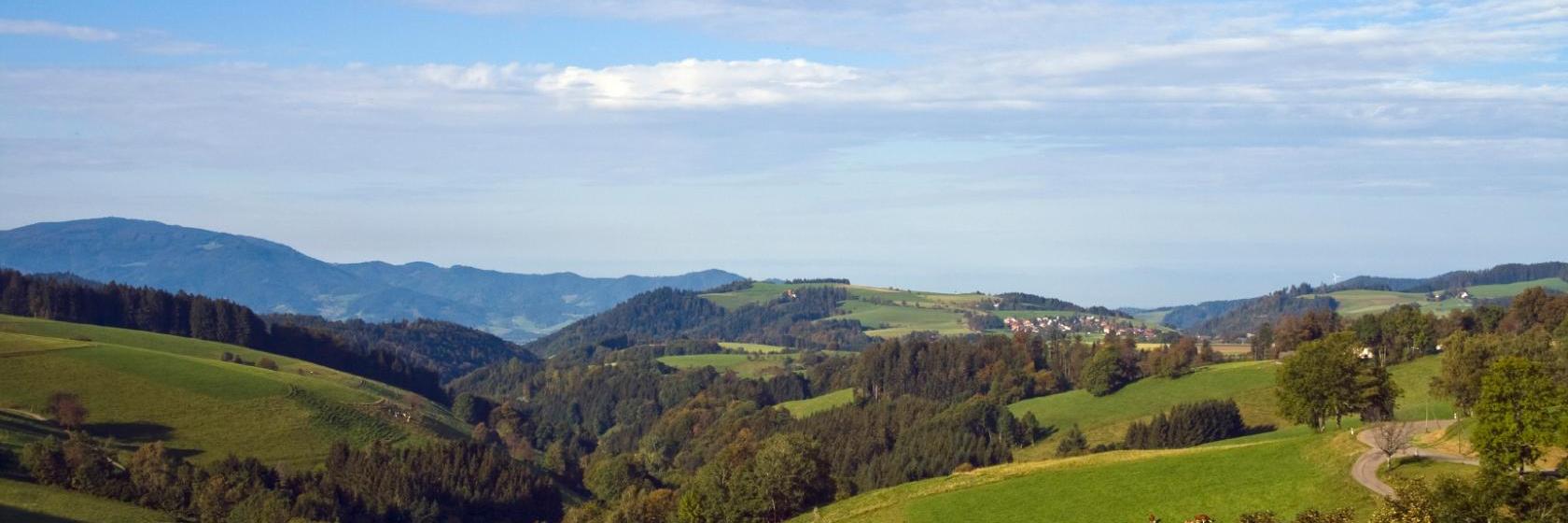 Hoteles baratos cerca de Tamm, Alemania - Dónde dormir cerca de Tamm