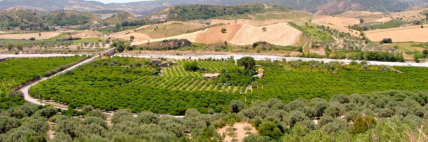 10 Best Guardavalle Hotels, Italy (From $65)