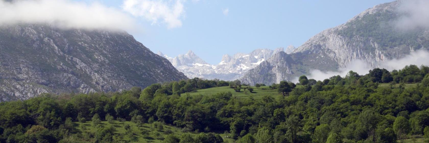 Hoteles baratos cerca de Mieses, Cantabria - Dónde dormir en Mieses