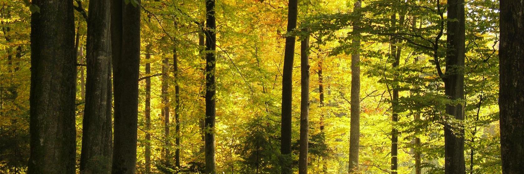 The best available hotels & places to stay near Belm, Germany