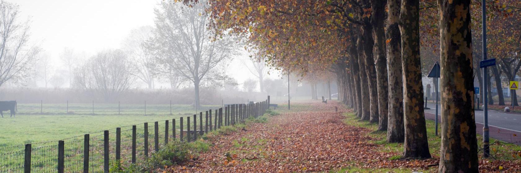 The 10 best hotels & places to stay in Limmen, Netherlands - Limmen hotels