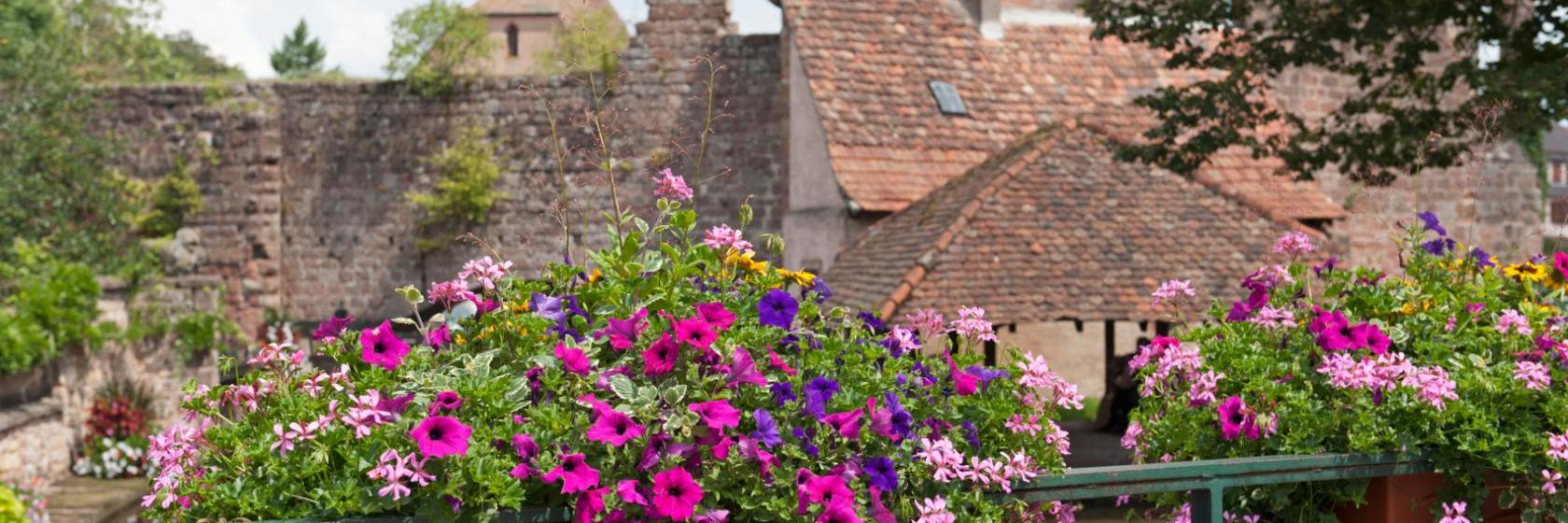 Hôtels à Cosswiller. Hôtels avec Meilleur Prix Garanti ! - Booking.com