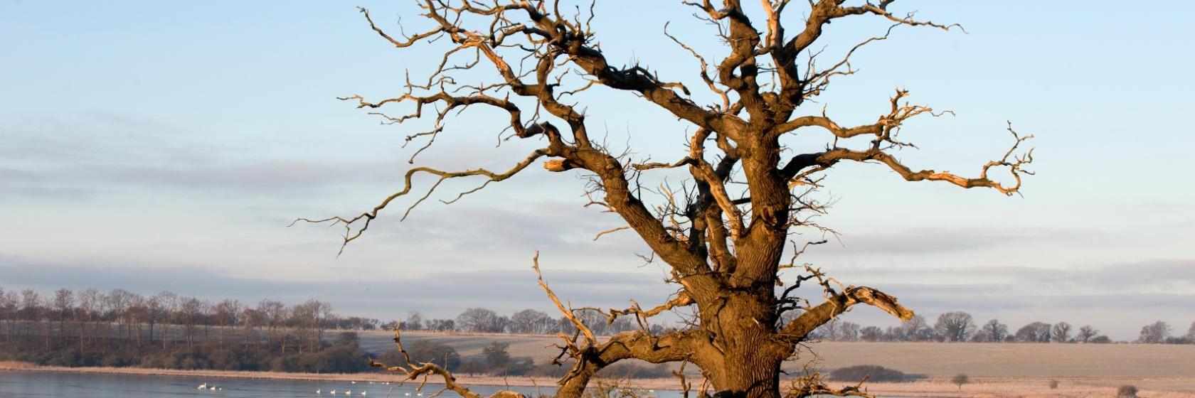 The best available hotels & places to stay near Langeskov, Denmark