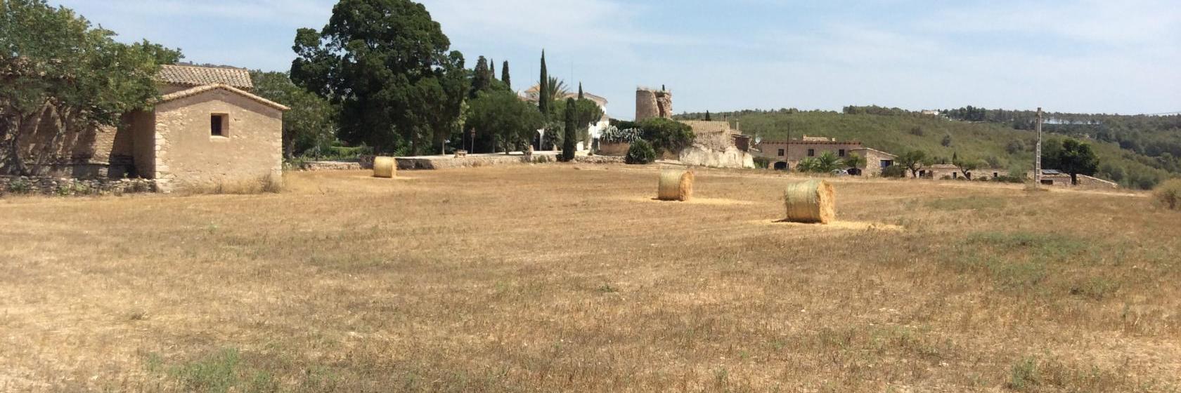 7 Hotels in Viladellops, - Booking.com