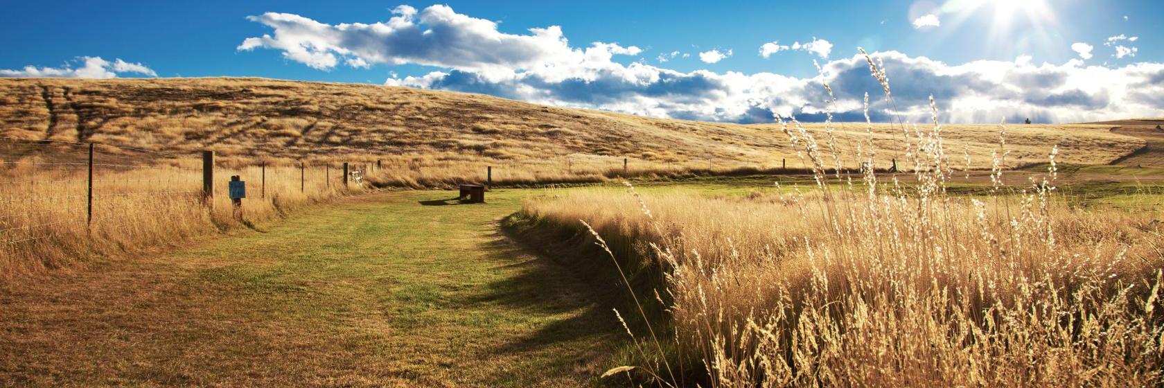 The 10 best hotels & places to stay in Temuka, New Zealand – Temuka hotels