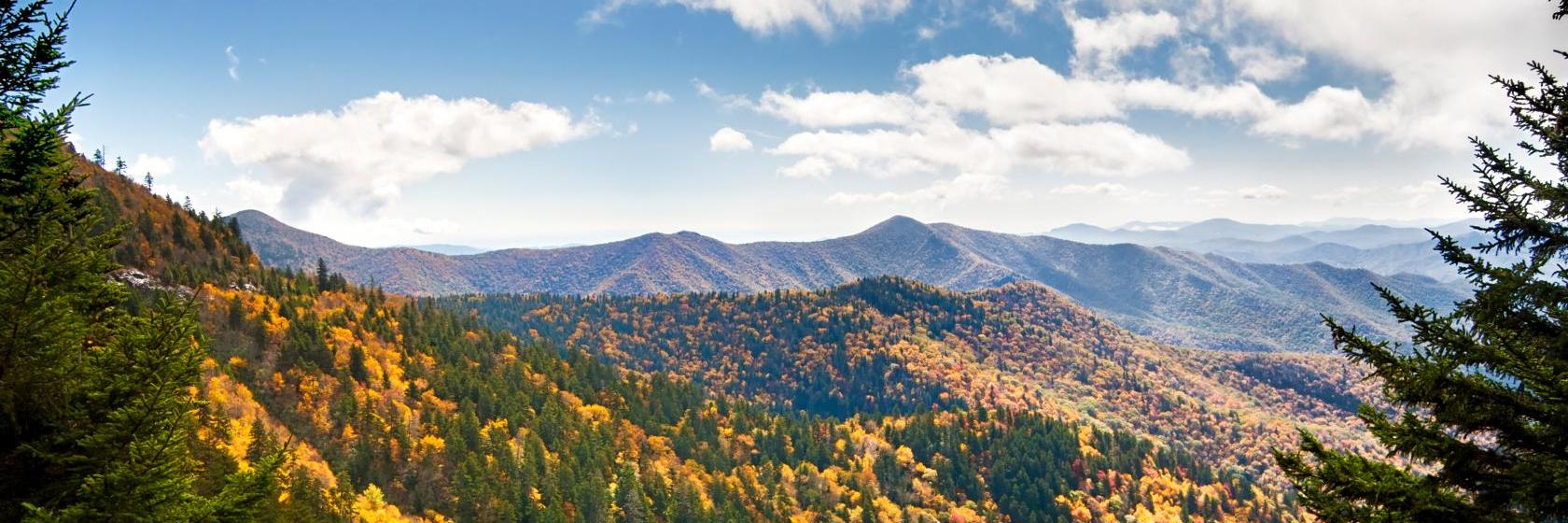 The 10 Best Ferguson Hotels (From $287)