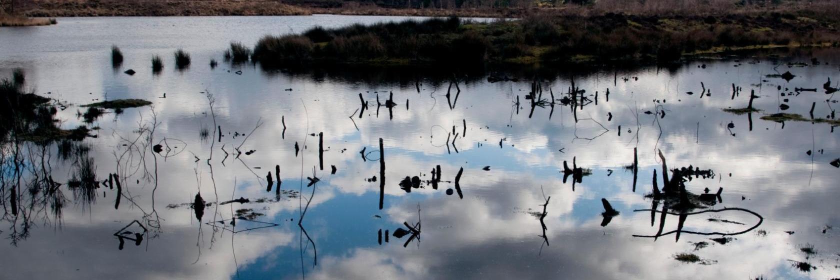 The best available hotels & places to stay near Bordon - Bordon hotels