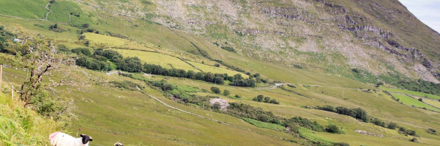 The best available hotels & places to stay near Partry, Ireland