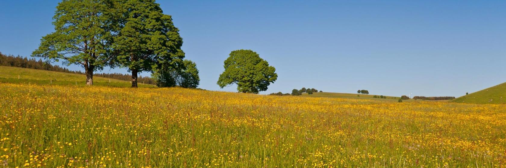 The best available hotels & places to stay near Sama, Spain