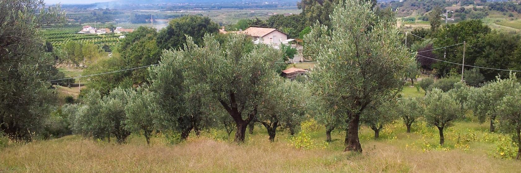 The best available hotels & places to stay near Maida, Italy