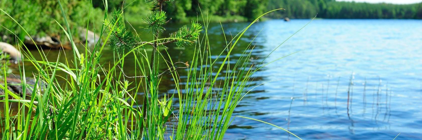 The best available hotels & places to stay near Kosula, Finland