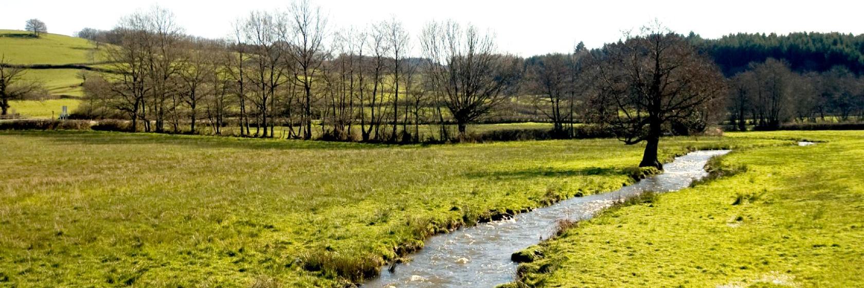 The 10 best hotels & places to stay in Luzy, France - Luzy hotels