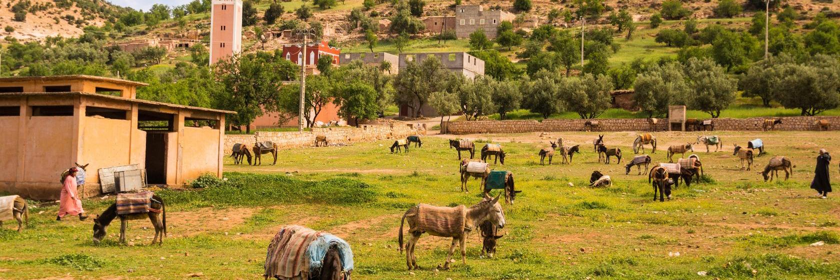 Les 10 meilleurs hôtels à Azilal, au Maroc (à partir de € 60)