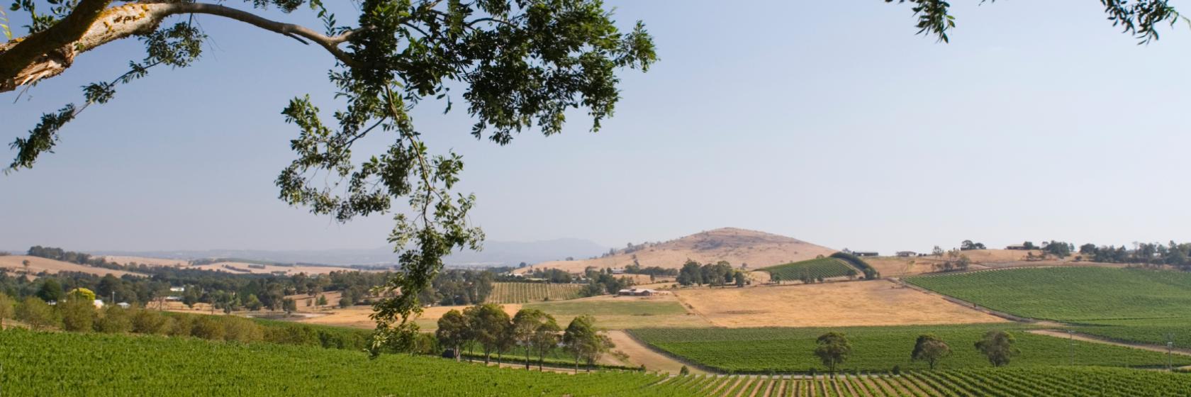 10 Best Warburton Hotels, Australia (From $73)