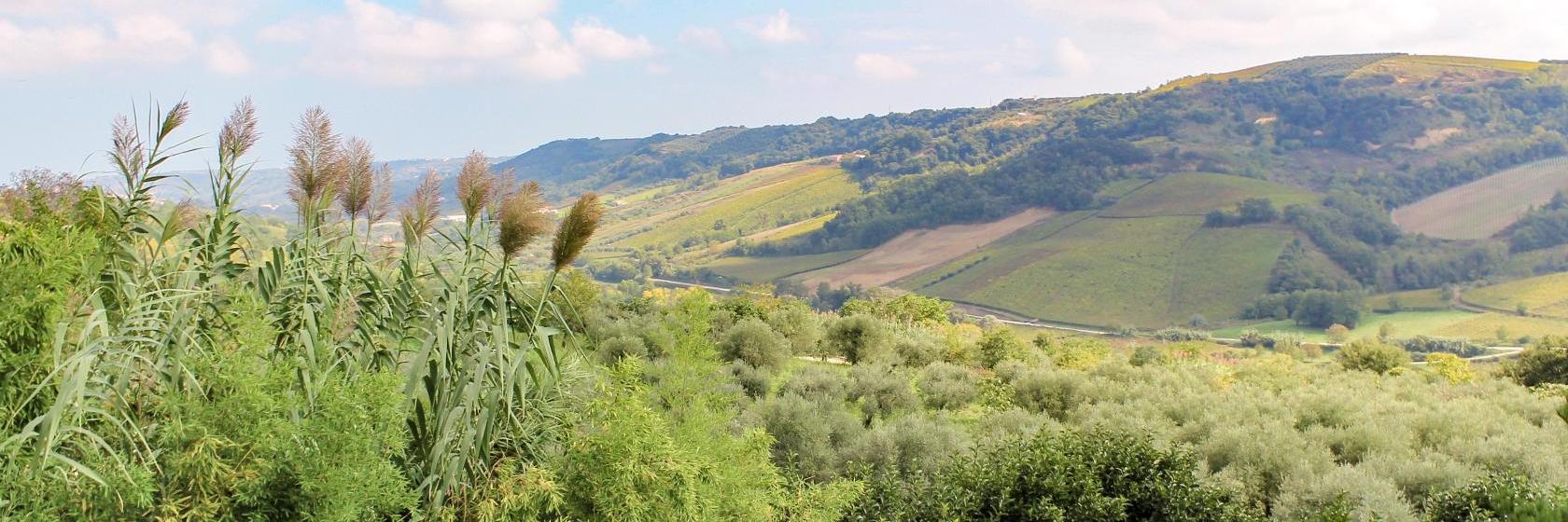 The 10 best hotels & places to stay in Miglianico, Italy - Miglianico ...