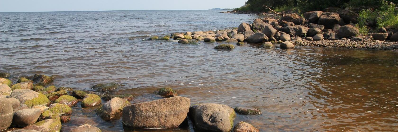 The best available hotels & places to stay near Kallaste, Estonia