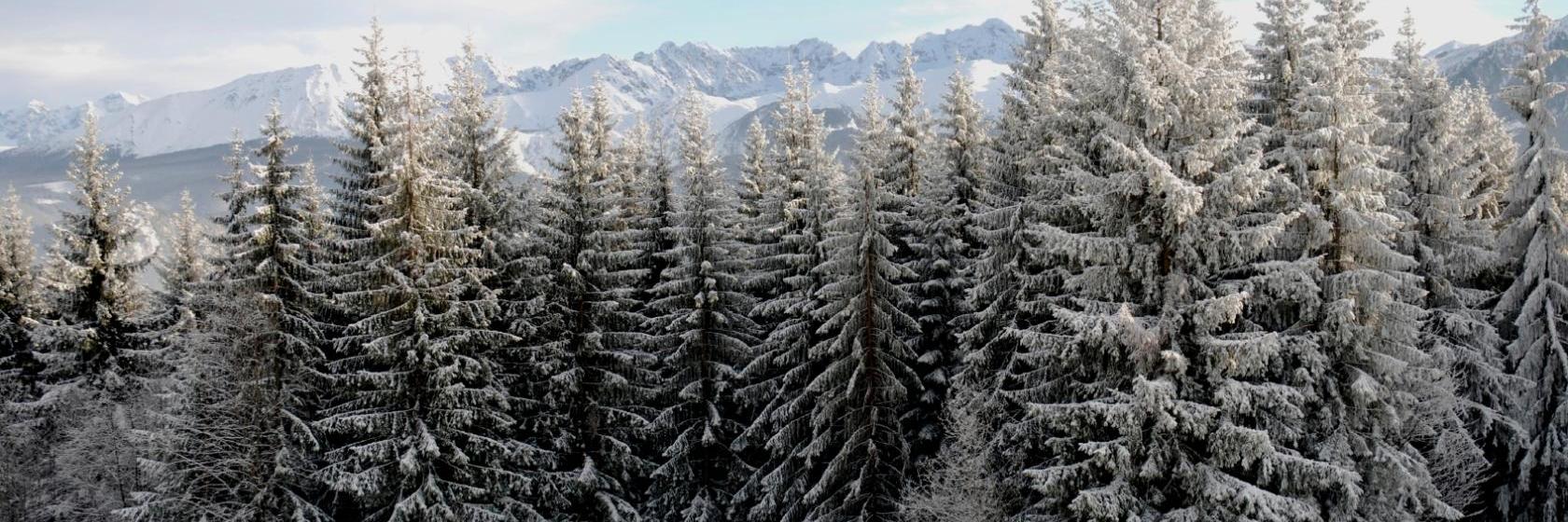 The best available hotels & places to stay near Zab, Poland