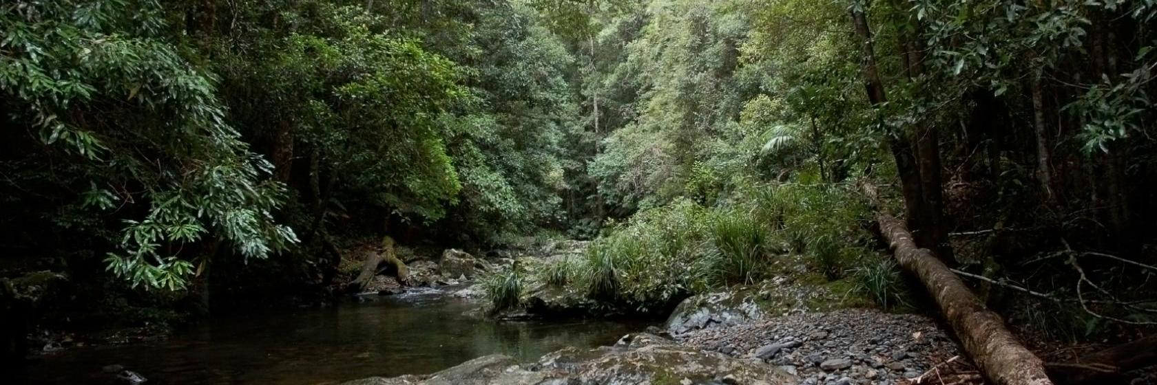 أفضل الفنادق في Mount Kuring-Gai، أستراليا | Booking.com