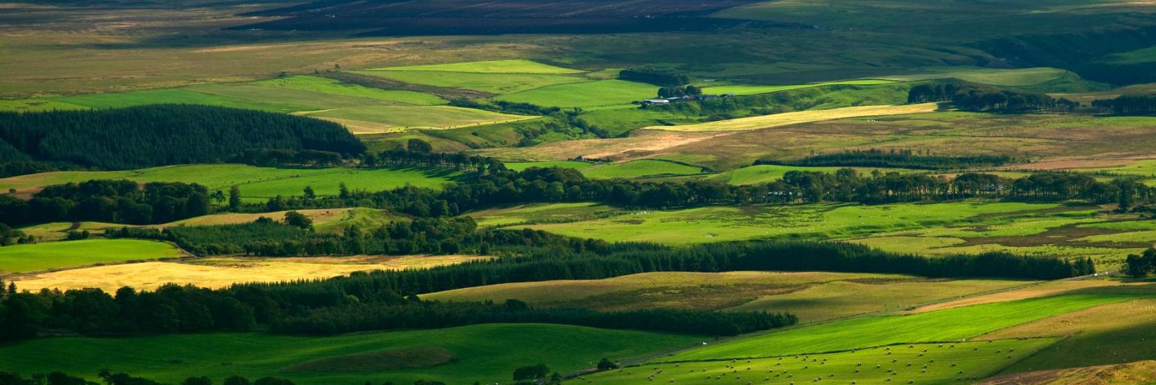 The 10 best hotels in Kirknewton, Lothian - Cheap Kirknewton hotels