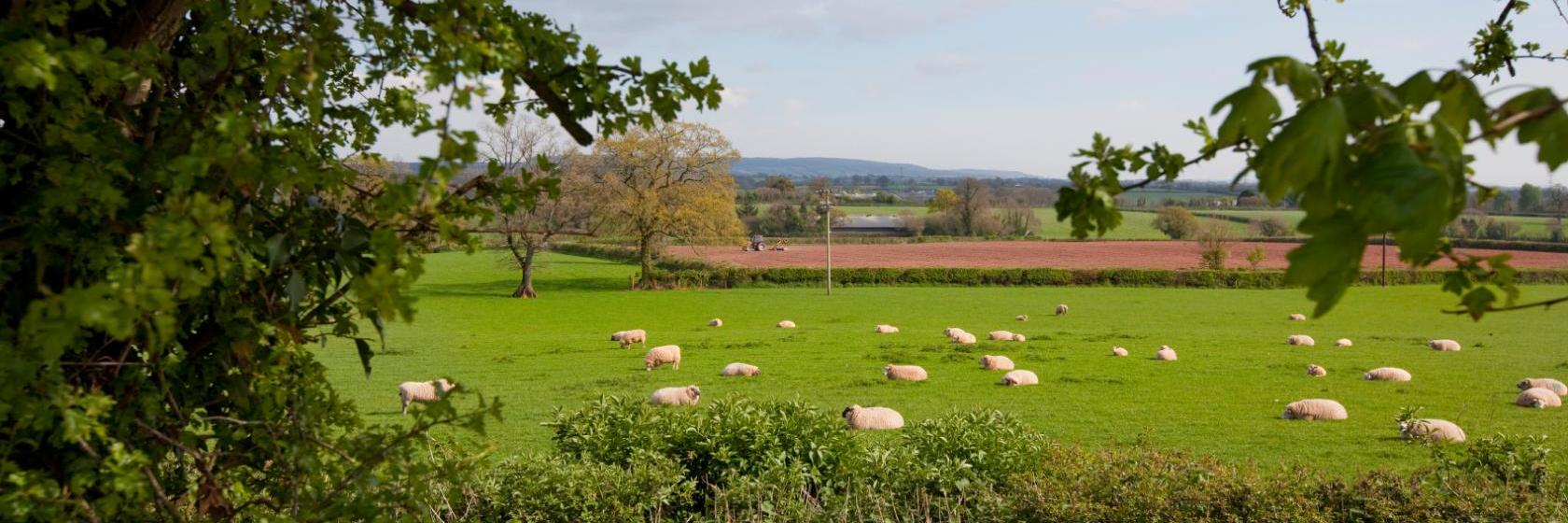The 10 best hotels in Malborough, Devon - Cheap Malborough hotels