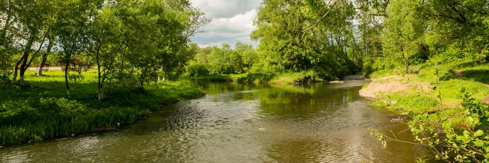 Hoteles baratos cerca de Irshava, Ucrania - Dónde dormir cerca de Irshava