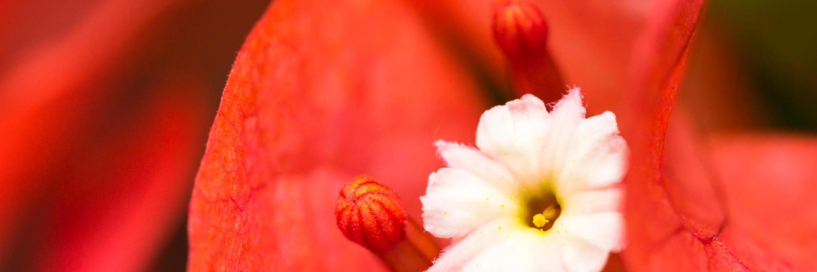 The best available hotels & places to stay near Fortiá, Spain