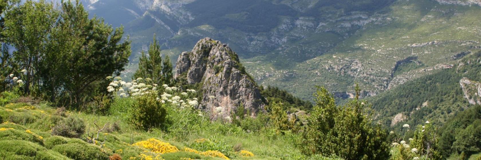 The best available hotels & places to stay near Linás de Broto, Spain