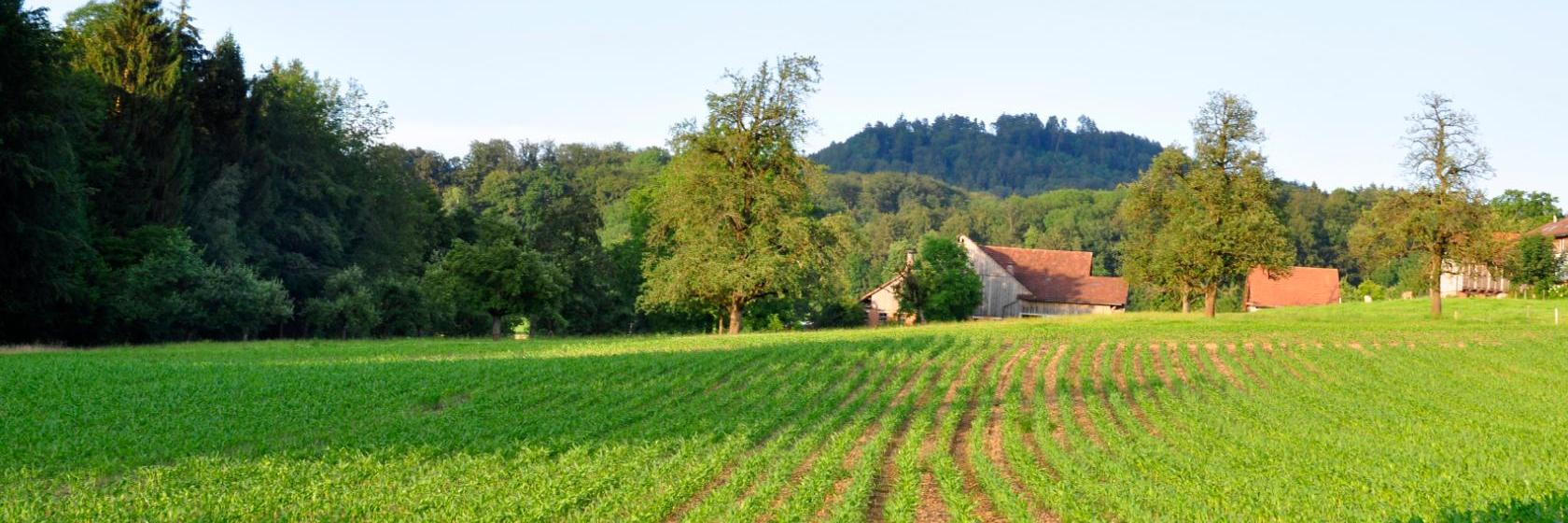 The best available hotels & places to stay near Forch, Switzerland