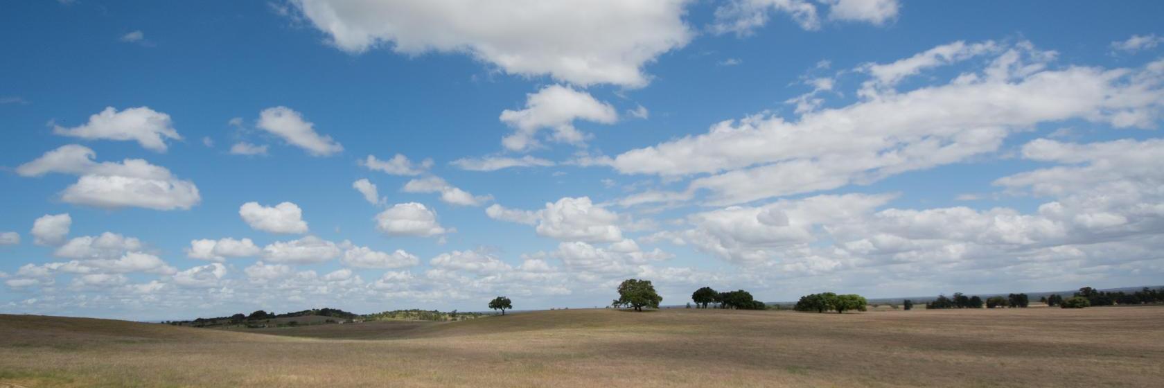 The best available hotels & places to stay near Colos, Portugal