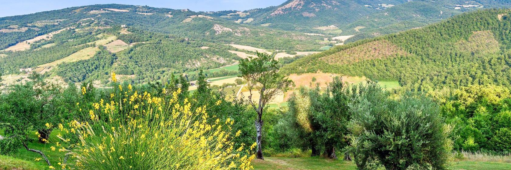 The best available hotels & places to stay near Preggio, Italy