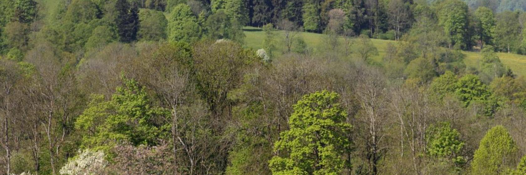 The best available hotels & places to stay near Hausham, Germany