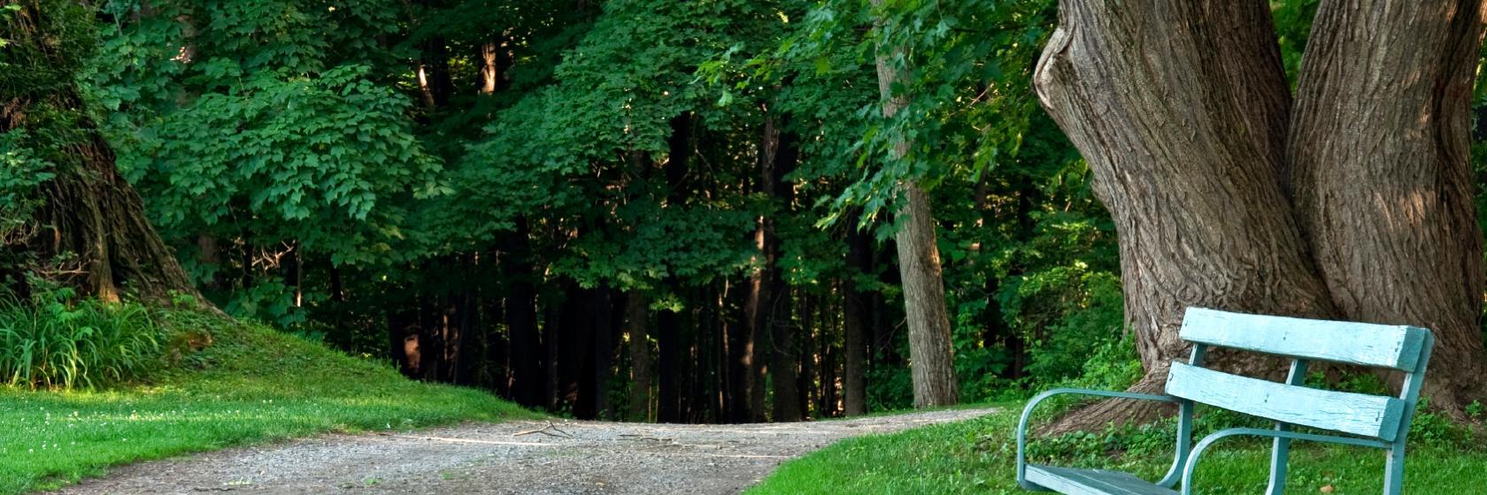 The best available hotels & places to stay near Hartha, Germany