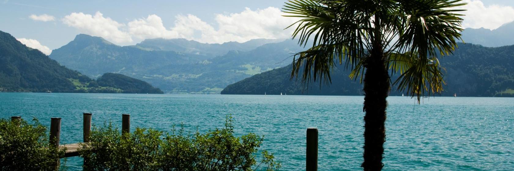 Die 10 besten Hotels in Weggis, Schweiz (Ab € 104)