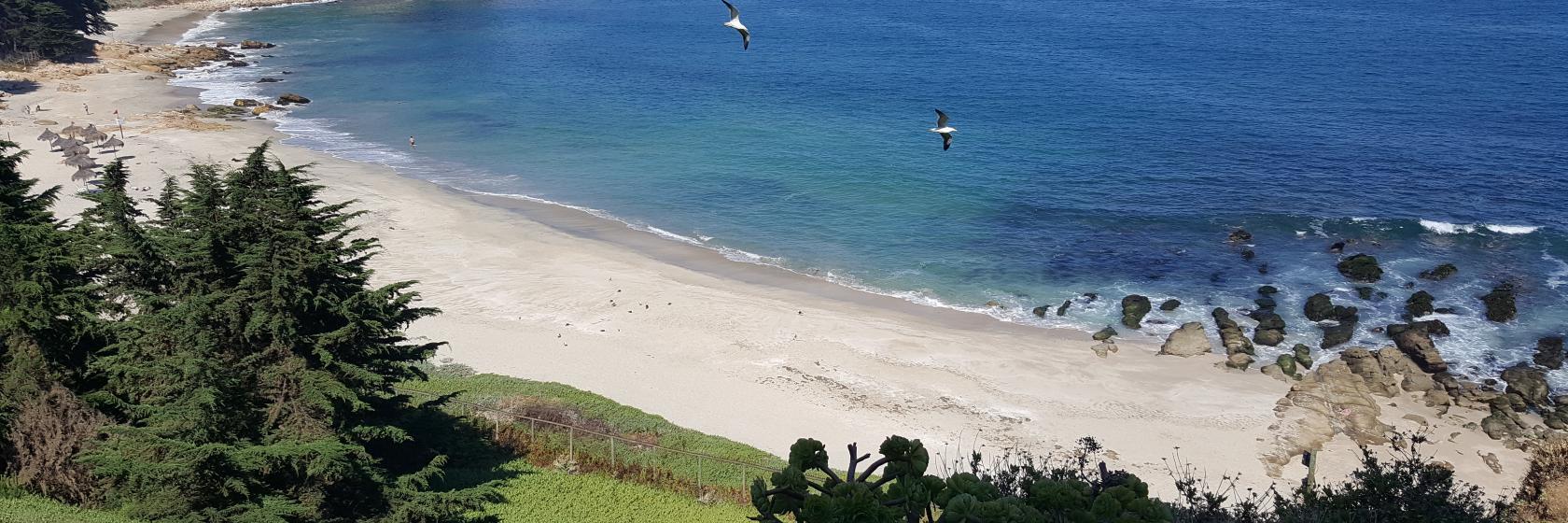 10 Best Horcón Hotels, Chile (From $76)