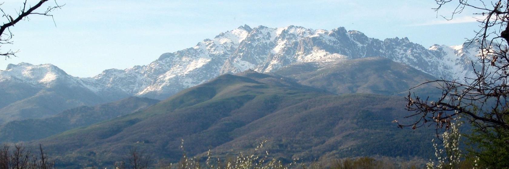 Los 10 mejores hoteles de El Raso (desde € 65)