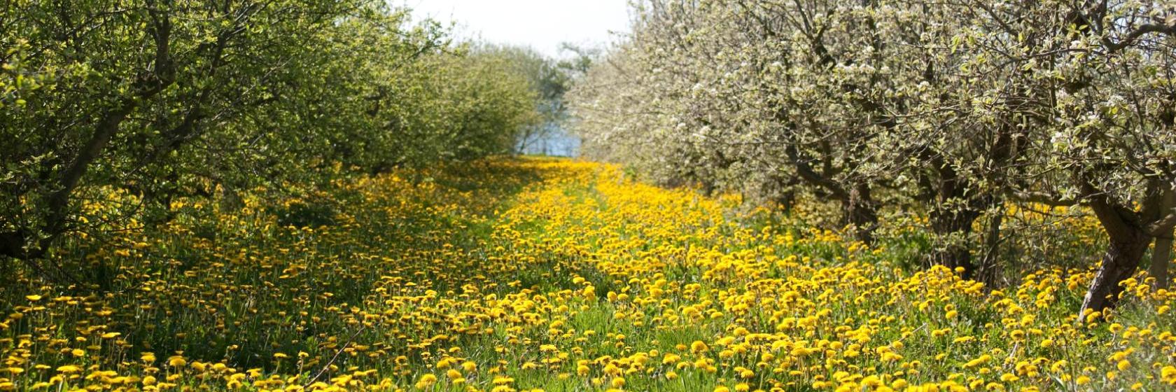 The 10 best hotels & places to stay in Malling, Denmark - Malling hotels