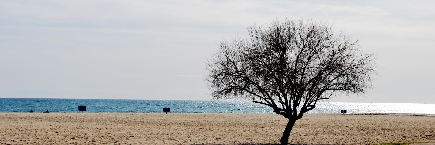 The 10 best hotels & places to stay in Teià, Spain - Teià hotels