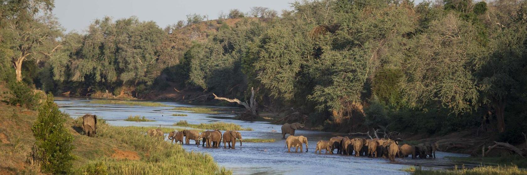 The best available hotels & places to stay near Pafuri Gate, South Africa