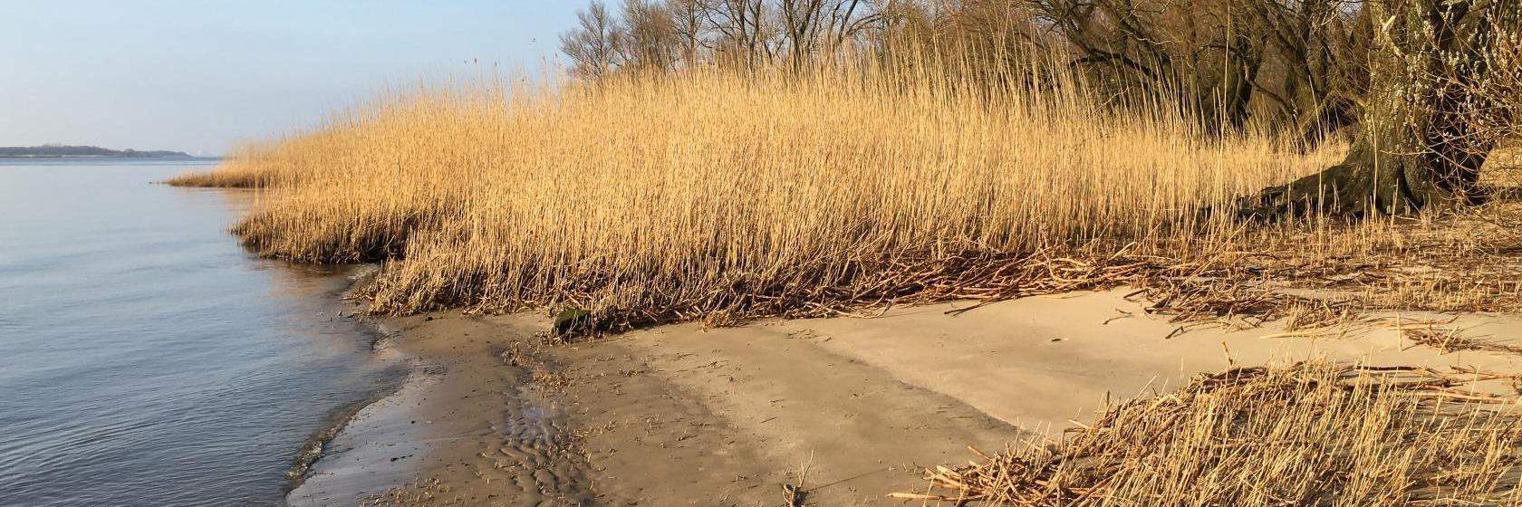 The 10 best hotels & places to stay in Kollmar, Germany - Kollmar hotels