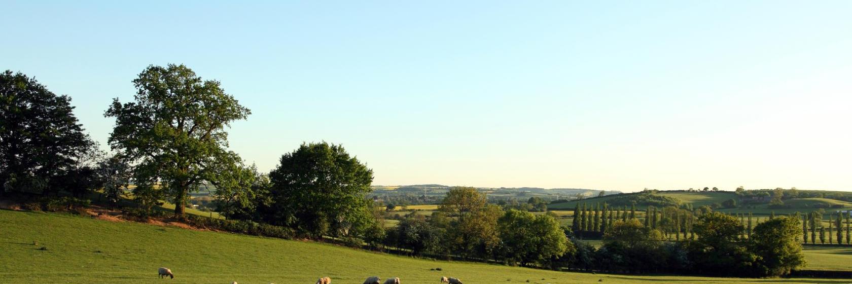 The best available hotels & places to stay near Great Creaton - Great ...