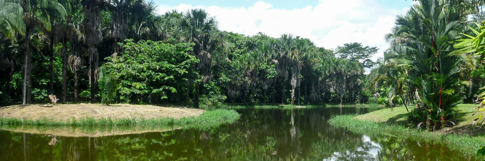 Los 10 mejores hoteles de Cumaral, Colombia (desde € 124)