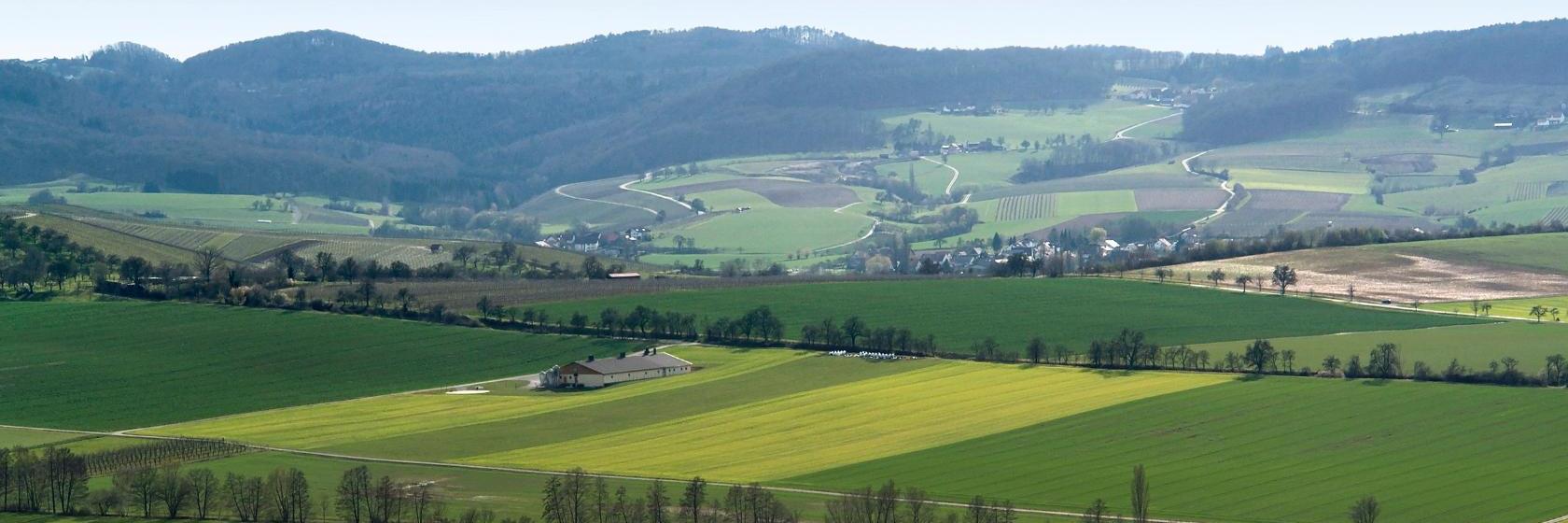 The best available hotels & places to stay near Gottenheim, Germany