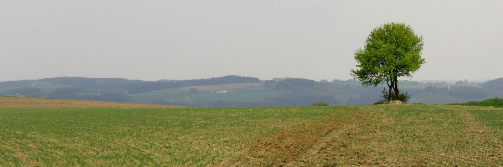 The best available hotels & places to stay near Livange, Luxembourg