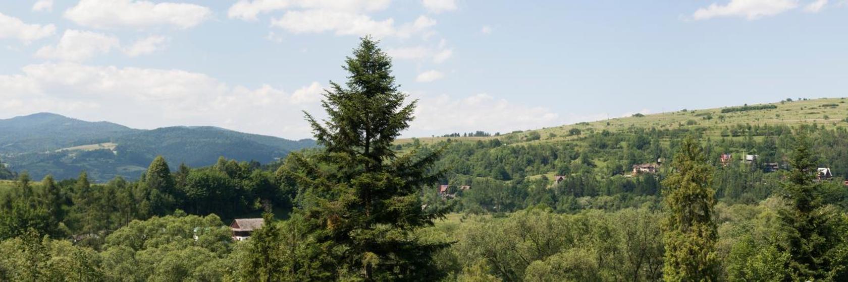 10 Best Kowary Hotels, Poland (From $141)