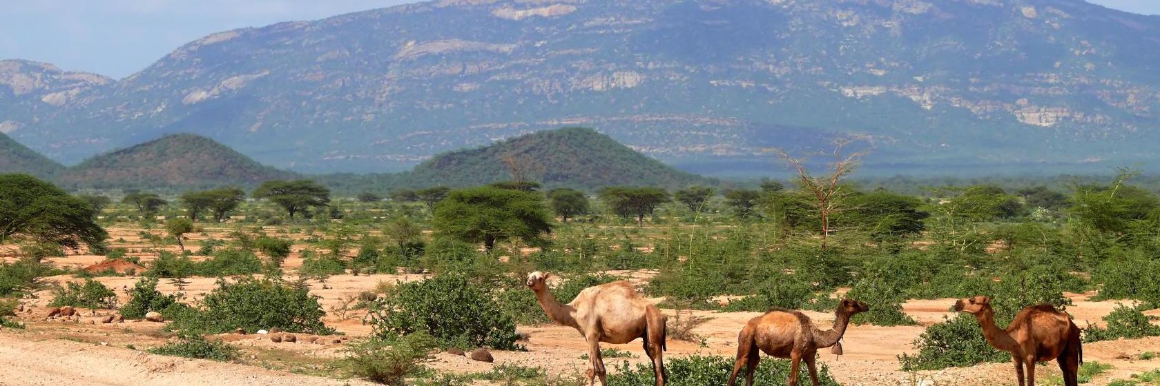 The 10 best hotels & places to stay in Isiolo, Kenya - Isiolo hotels