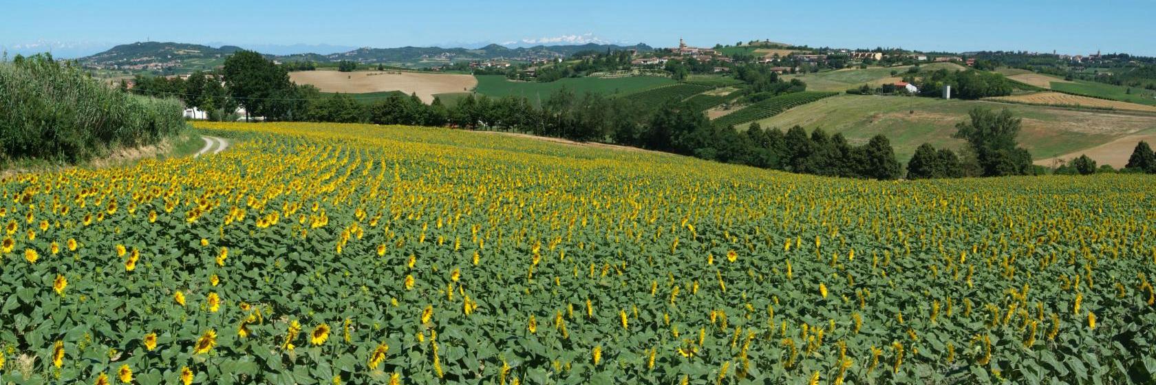 The best available hotels & places to stay near Spigno Monferrato, Italy